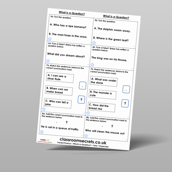Year 1 What Is A Question Varied Fluency Resource | Classroom Secrets