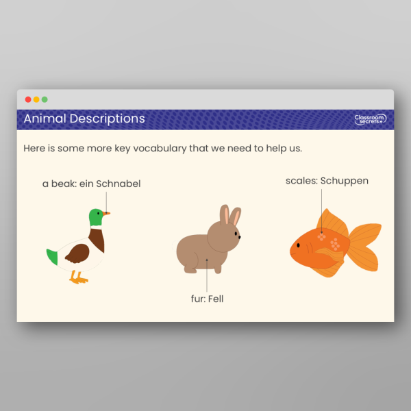 Year 5 Animal Descriptions Teaching Ppt Resource | Classroom Secrets