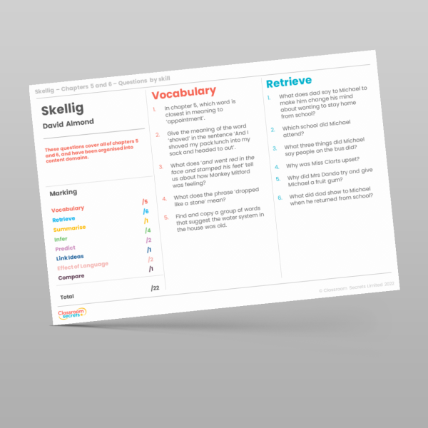UKS2 Reading Skills Skellig Chapters 5 6 Resource | Classroom Secrets