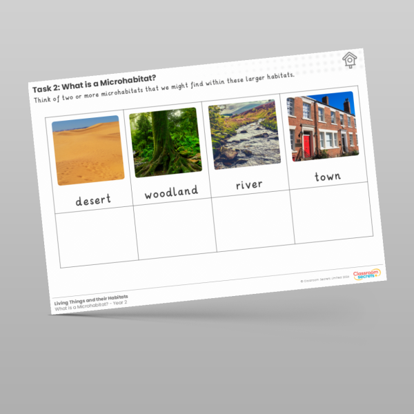 Year 2 What Is A Microhabitat Worksheet Resource | Classroom Secrets