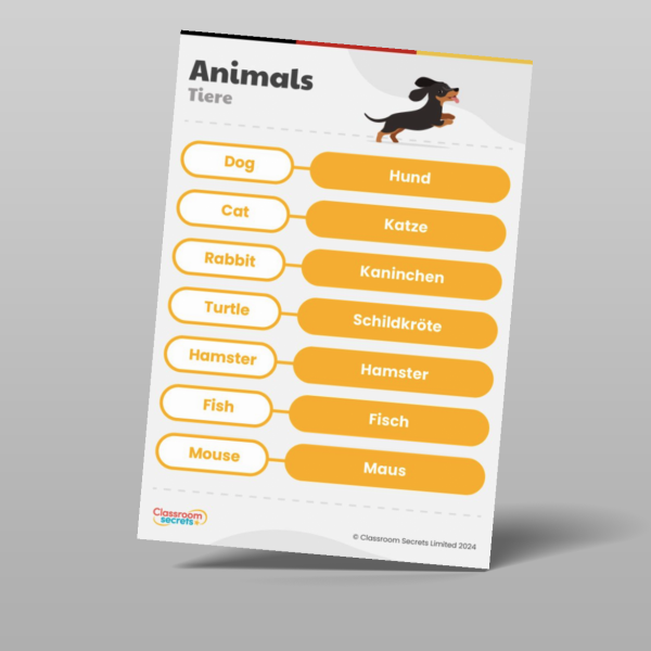 German Display Pack Resource | Classroom Secrets