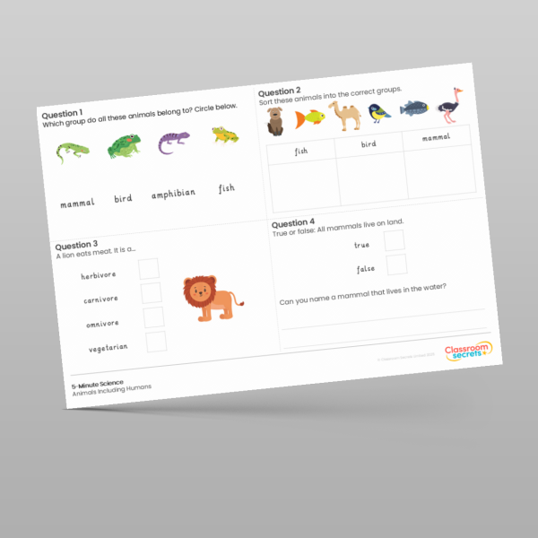 Year 1 Animals Including Humans 5 Minute Science Resource | Classroom ...