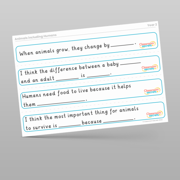 Year 2 Animals Including Humans Stem Sentences Resource | Classroom Secrets