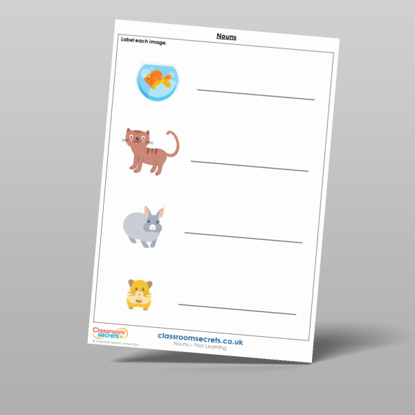 Year 1 Nouns Prior Learning Resource | Classroom Secrets