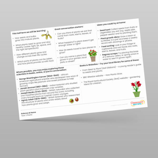 Year 2 Plants Science At Home Resource | Classroom Secrets