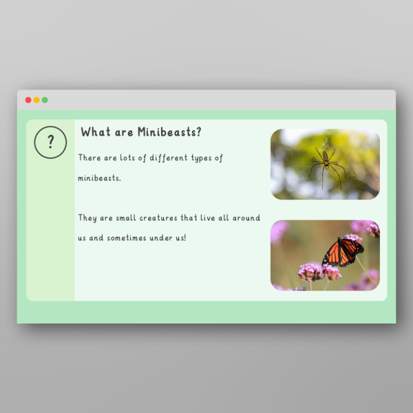 Eyfs Minibeasts Introductory Ppt Resource | Classroom Secrets