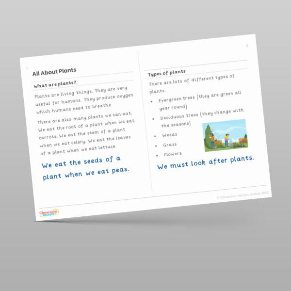 Year 1 Reading Skills All About Plants Resource | Classroom Secrets
