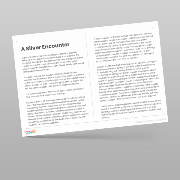 Year 6 Reading Skills A Silver Encounter Resource | Classroom Secrets
