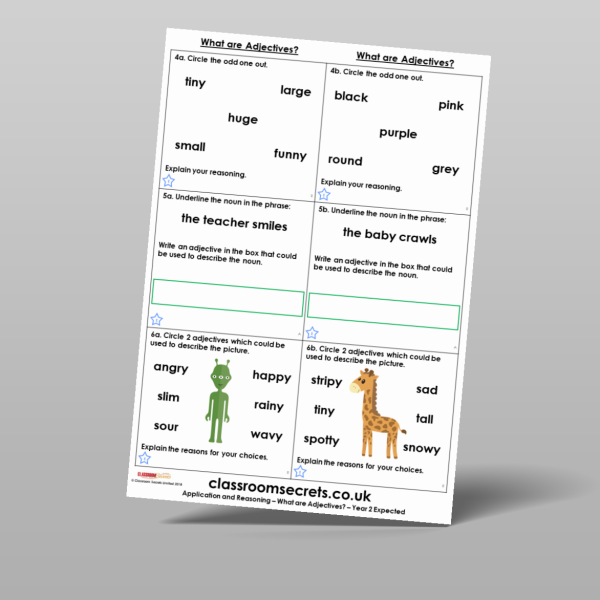 Year 2 What Are Adjectives Application And Reasoning Resource ...