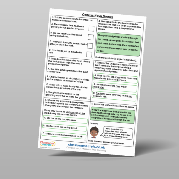 Year 5 Concise Noun Phrases Prior Learning Resource | Classroom Secrets