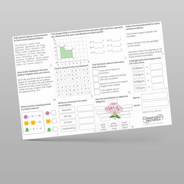 Year 5 Early Morning Work Summer Week 11 Resource | Classroom Secrets