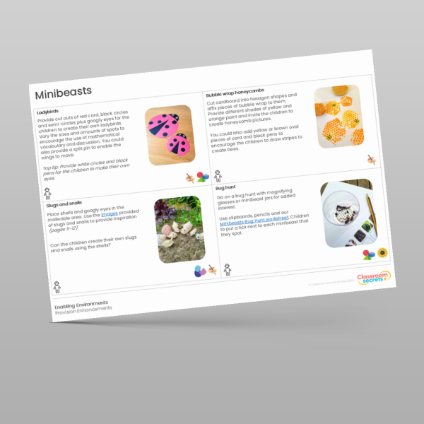 Eyfs Minibeasts Provision Enhancements Resource | Classroom Secrets