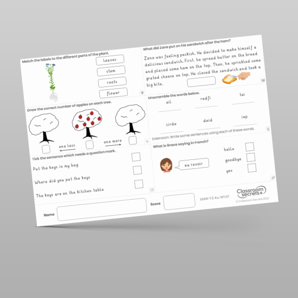 Year 2 Early Morning Work Autumn Week 1 Resource | Classroom Secrets