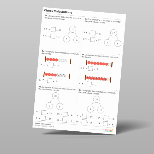 Year 2 Check Calculations Varied Fluency 2 Resource | Classroom Secrets