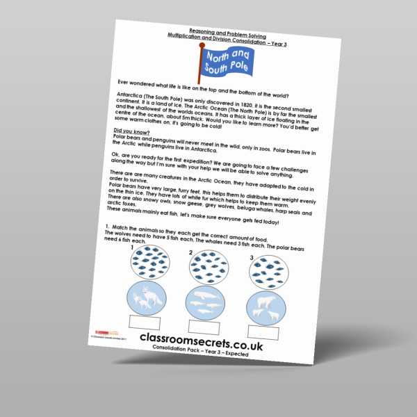 Year 3 Multiplication And Division A Consolidation Activity Resource ...