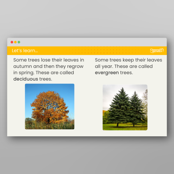 Year 1 How Do The Seasons Affect Plants Investigation Lesson Resource ...