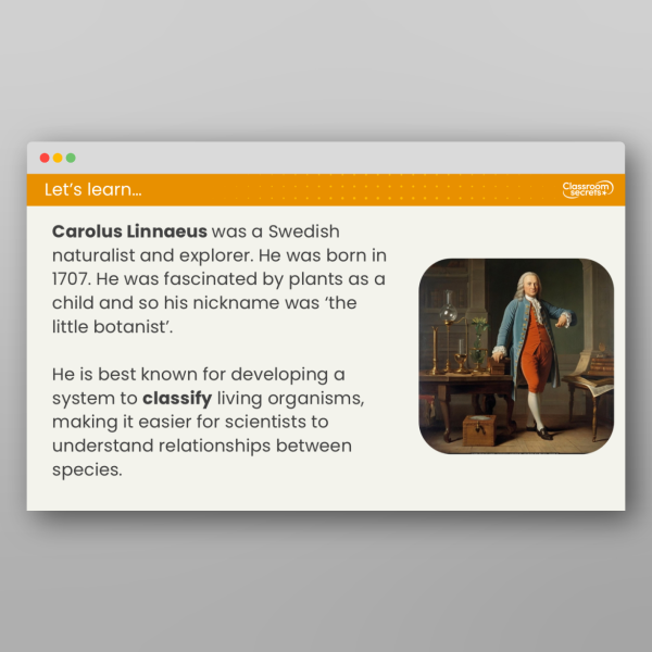 Year 6 Why Is Carolus Linnaeus Important Lesson Resource | Classroom ...