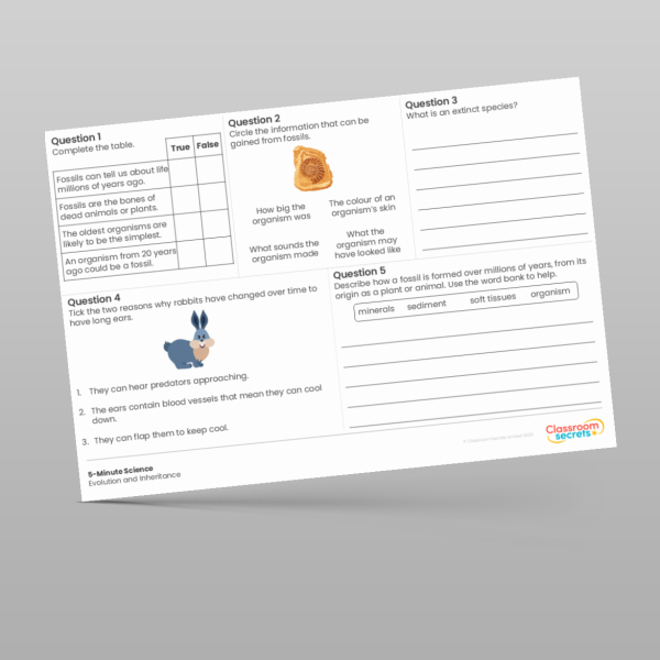 Year 6 Evolution And Inheritance 5 Minute Science Resource | Classroom ...