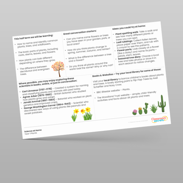 Year 1 Plants Science At Home Resource | Classroom Secrets