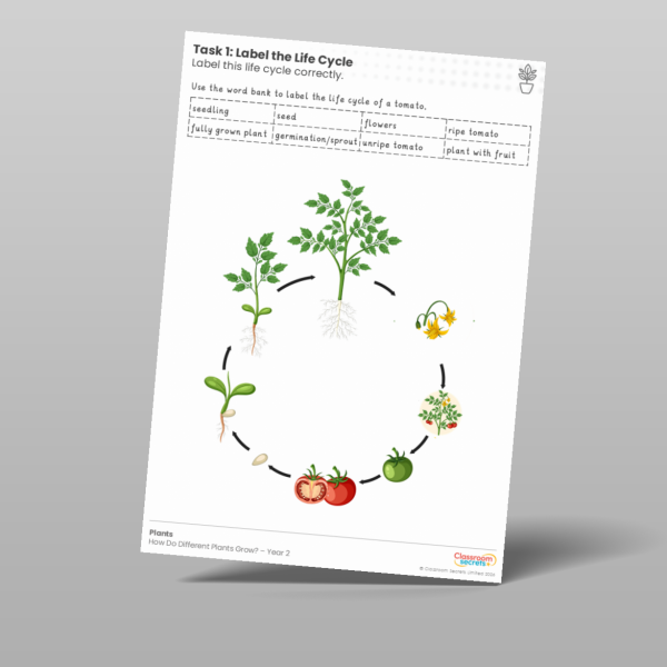 Year 2 Label The Life Cycle Activity Resource | Classroom Secrets