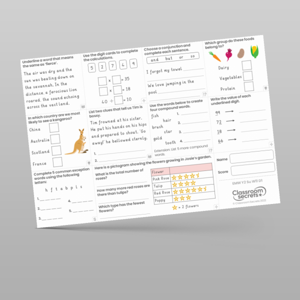 Year 2 Early Morning Work Summer Week 11 Resource | Classroom Secrets