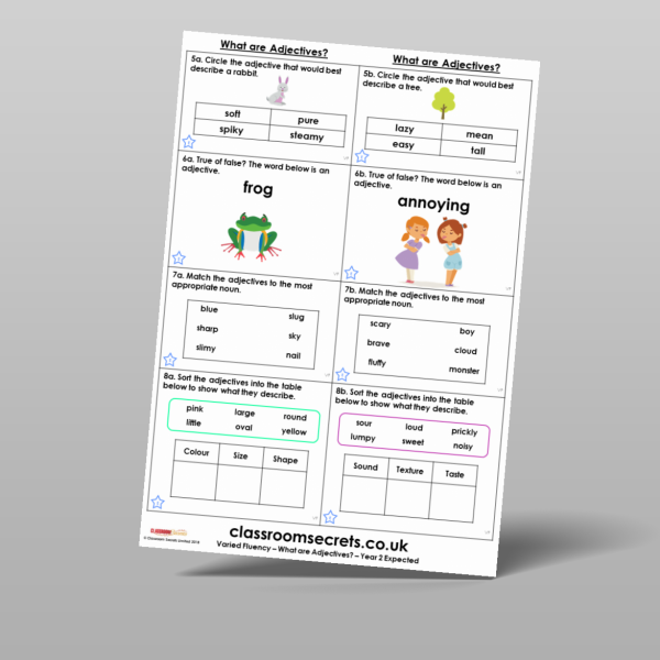 Year 2 What Are Adjectives Varied Fluency Resource | Classroom Secrets