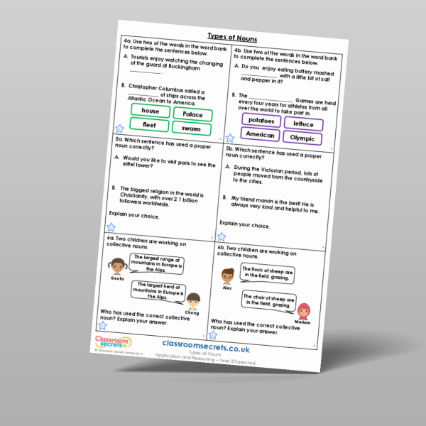 Year 3 Types Of Nouns Application And Reasoning Resource | Classroom ...