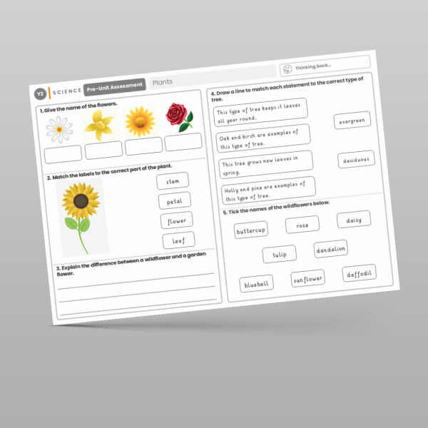Year 2 Plants Pre Unit Assessment Resource | Classroom Secrets