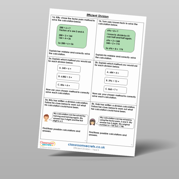 Year 5 Efficient Division Reasoning And Problem Solving Resource ...