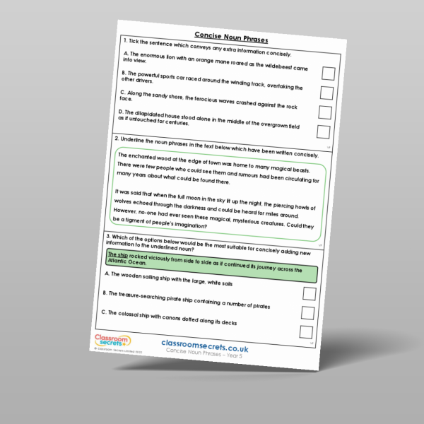 Year 5 Concise Noun Phrases Mixed Activity Resource | Classroom Secrets
