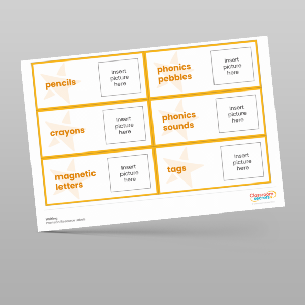 Editable Provision Resource Labels Rectangles Resource | Classroom Secrets