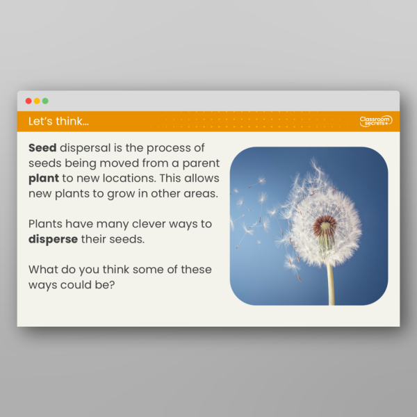 Year 3 What Is Seed Dispersal Lesson Resource | Classroom Secrets