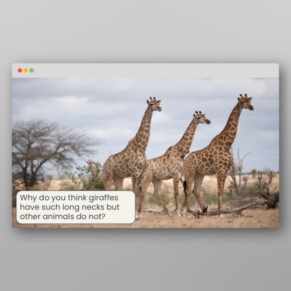 Year 6 How Have Living Things Changed Over Time Lesson Resource ...