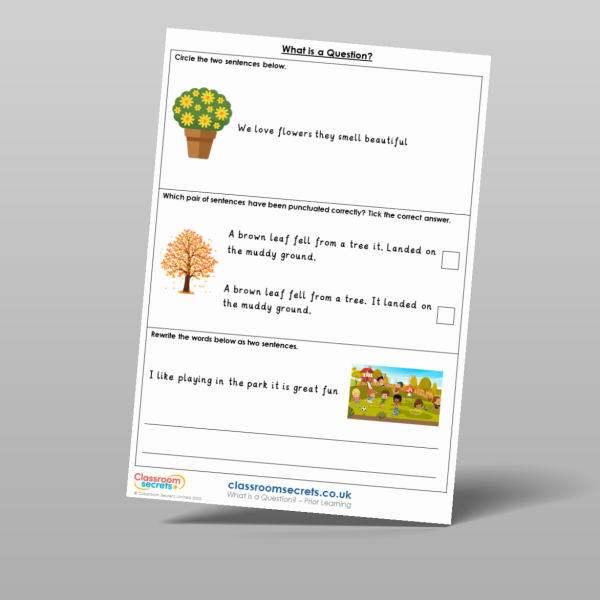Year 1 What Is A Question Prior Learning Resource | Classroom Secrets