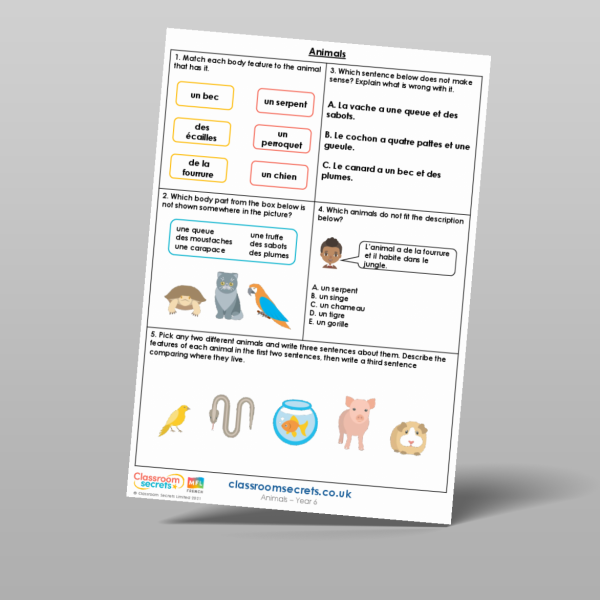 Year 6 Animals Main Activity Resource | Classroom Secrets