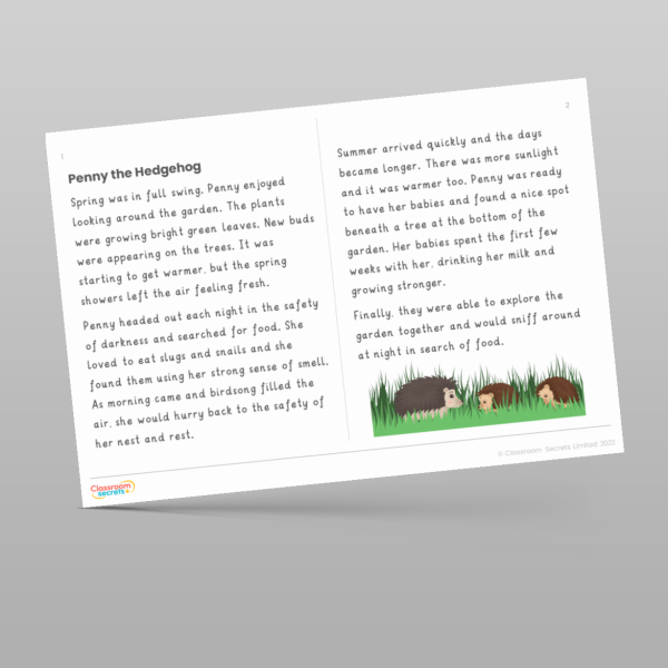 Year 2 Reading Skills Penny The Hedgehog Resource | Classroom Secrets
