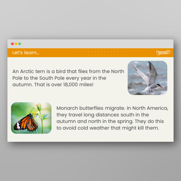 Year 1 How Do The Seasons Affect Animals Lesson Resource | Classroom ...