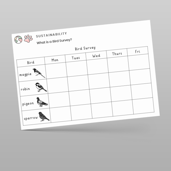 Year 1 Bird Survey Worksheet Resource | Classroom Secrets