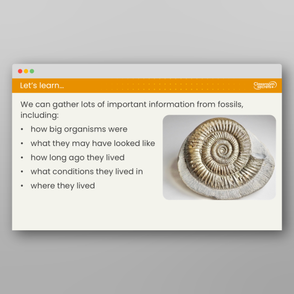 Year 6 What Do Fossils Teach Us Lesson Resource | Classroom Secrets