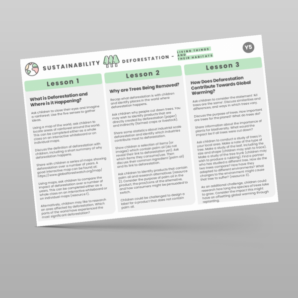 Year 5 Deforestation Planning Resource | Classroom Secrets