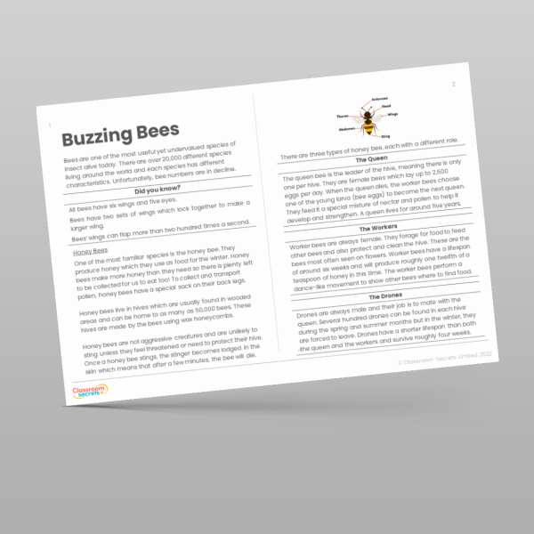 Year 3 Reading Skills Buzzing Bees Resource | Classroom Secrets