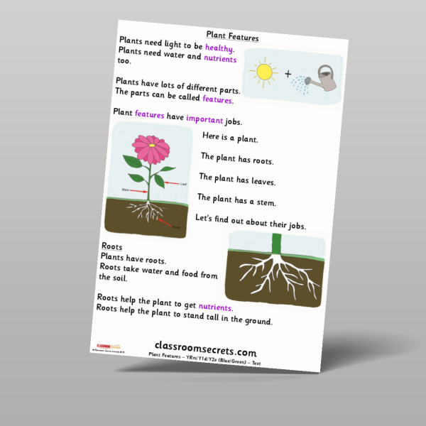 KS1 Plants Features Blue Green Guided Reading Pack Resource | Classroom ...