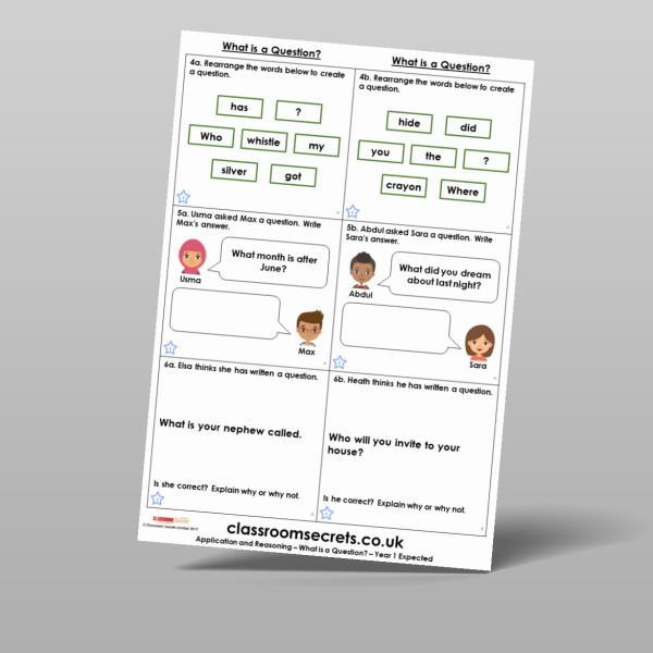 Year 1 What Is A Question Application And Reasoning Resource ...