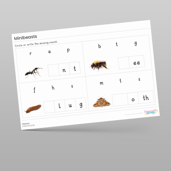 Eyfs Minibeasts Literacy Activities Resource | Classroom Secrets