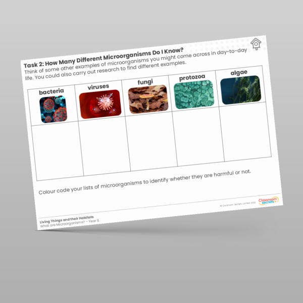 Year 6 Different Microorganisms Worksheet Resource | Classroom Secrets