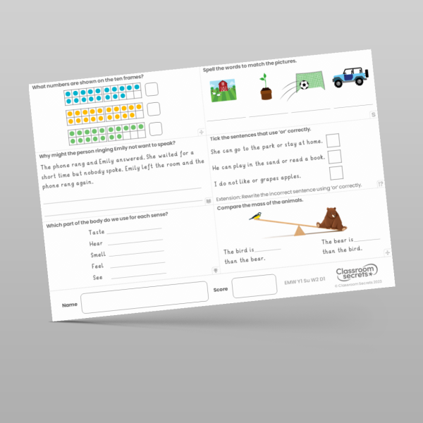 Year 1 Early Morning Work Summer Week 2 Resource | Classroom Secrets