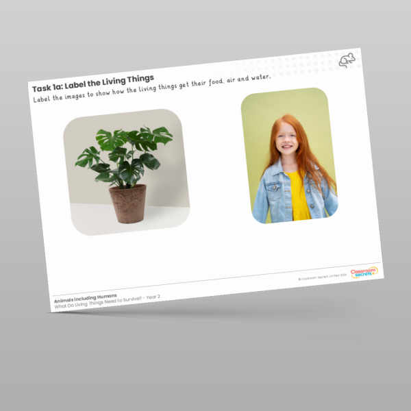 Year 2 Label The Living Things Worksheet Resource | Classroom Secrets