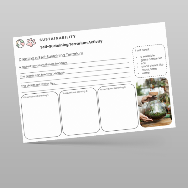 Year 6 Self Sustaining Terrarium Activity Resource | Classroom Secrets