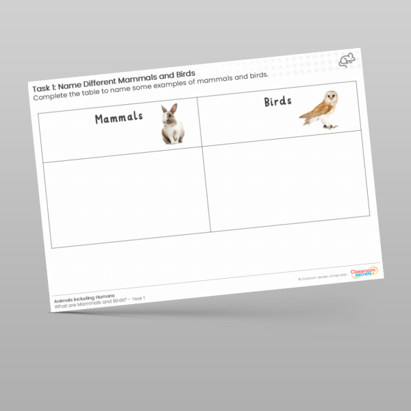 Year 1 Lesson 2 Name Different Mammals And Birds Worksheet Resource ...