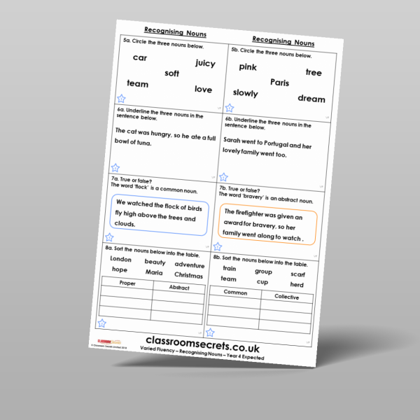 Year 4 Recognising Nouns Varied Fluency Resource | Classroom Secrets